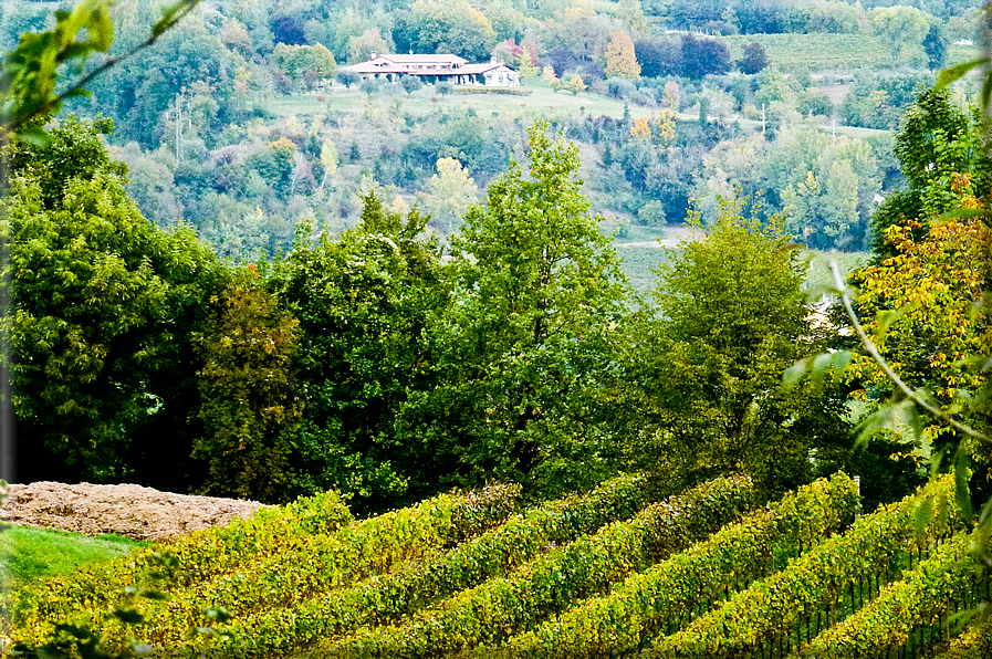 Il Montello